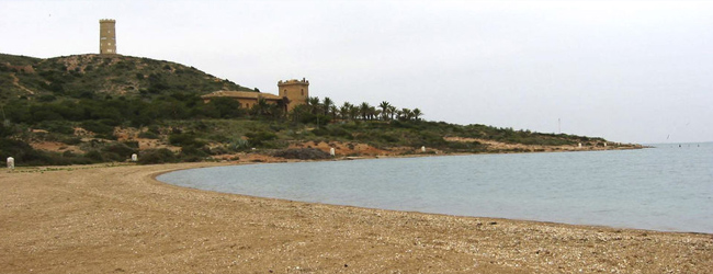Isla del baron, Álbumes, expansion.com