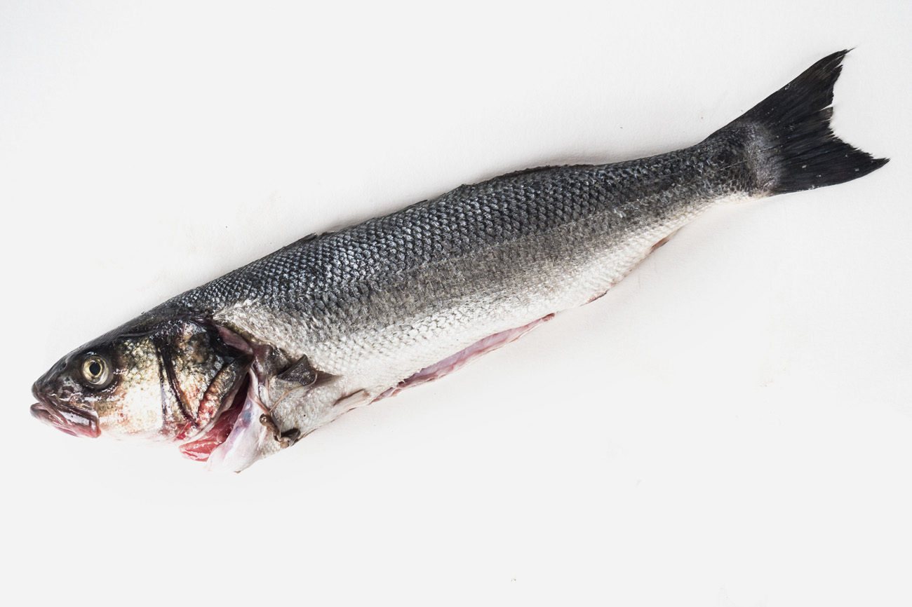 Lubina. Precio: 22 euros/kg. | Fueradeserie/gastro | EXPANSION.com