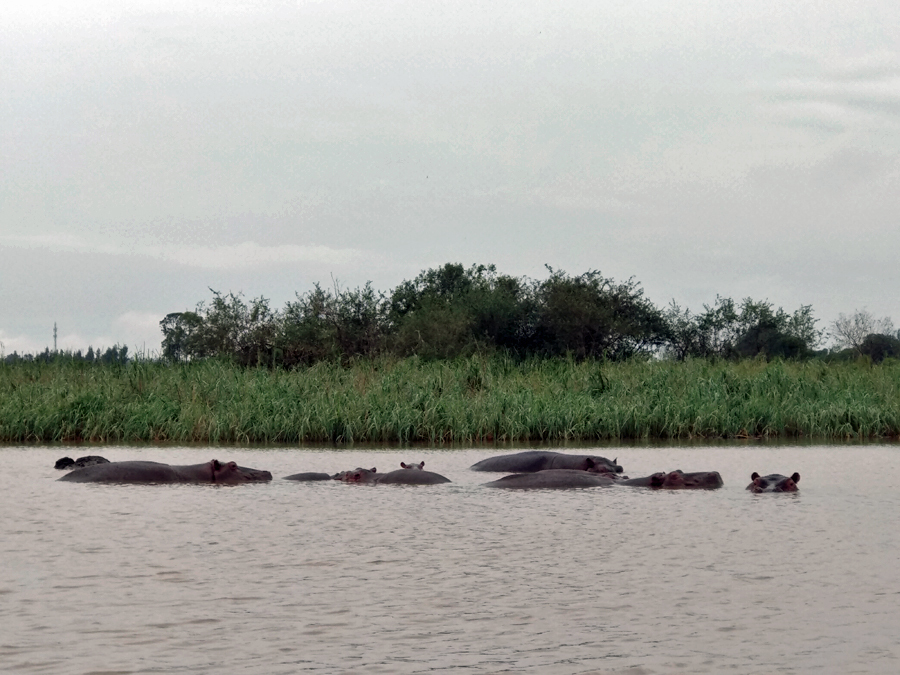 Lago Tana (Bahir Dar) | Directivos/estilo-vida/tendencias | EXPANSION.com
