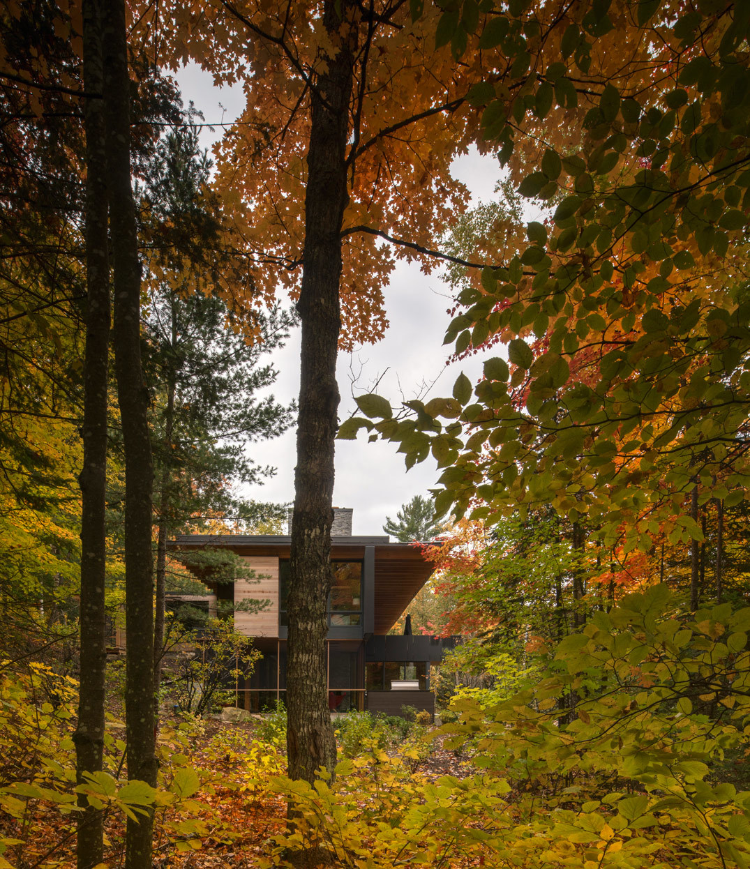 The Bear Stand, Ontario, Canadá (2016) | Fueradeserie/arquitectura ...