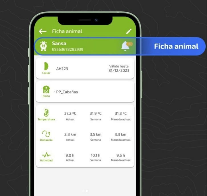 Vacas con 'smartwatch': la digitalización llega a las granjas | UEstudio