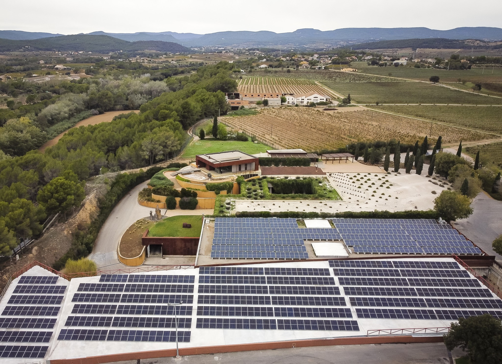 Familia Torres: la transformación verde de una bodega centenaria ...